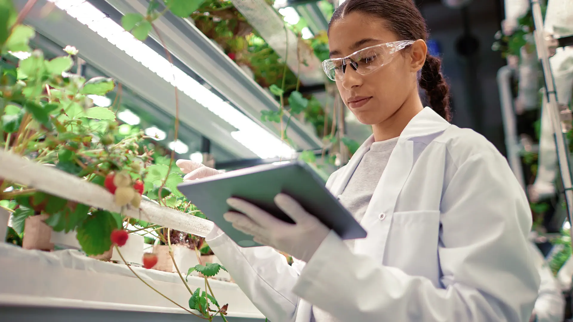 Controlled Environment Agriculture | Bosch Rexroth USA